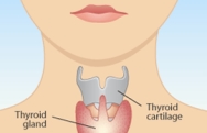 What is a Thyroid Lump or Nodule? - eMenders Medical Specialist